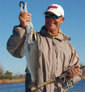 Ace Angler's Guide: How to Select a Spinning Rod