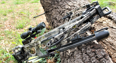Mastering the Basics: A Guide to Crossbow Hunting