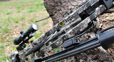 Mastering the Basics: A Guide to Crossbow Hunting