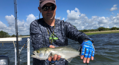 Fish Monkey 2019 Collection: A Review