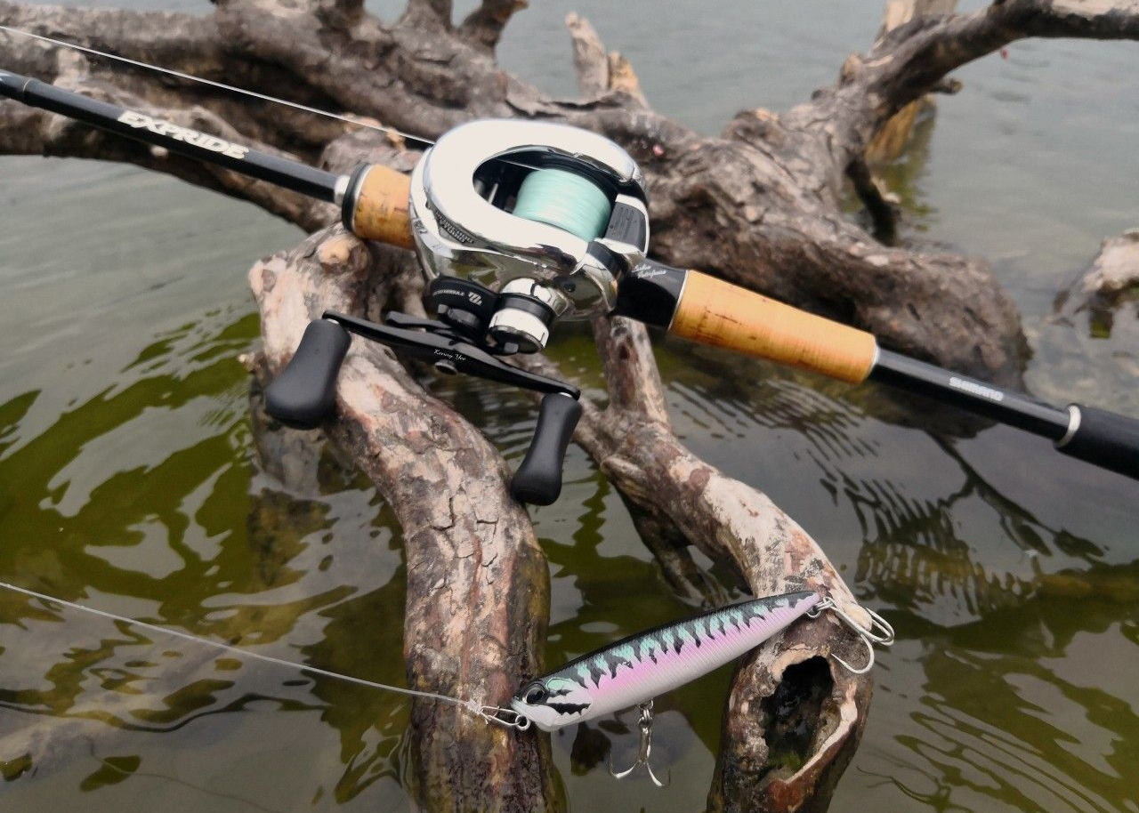 How to Choose a Spinning Rod for Fishing Adventures