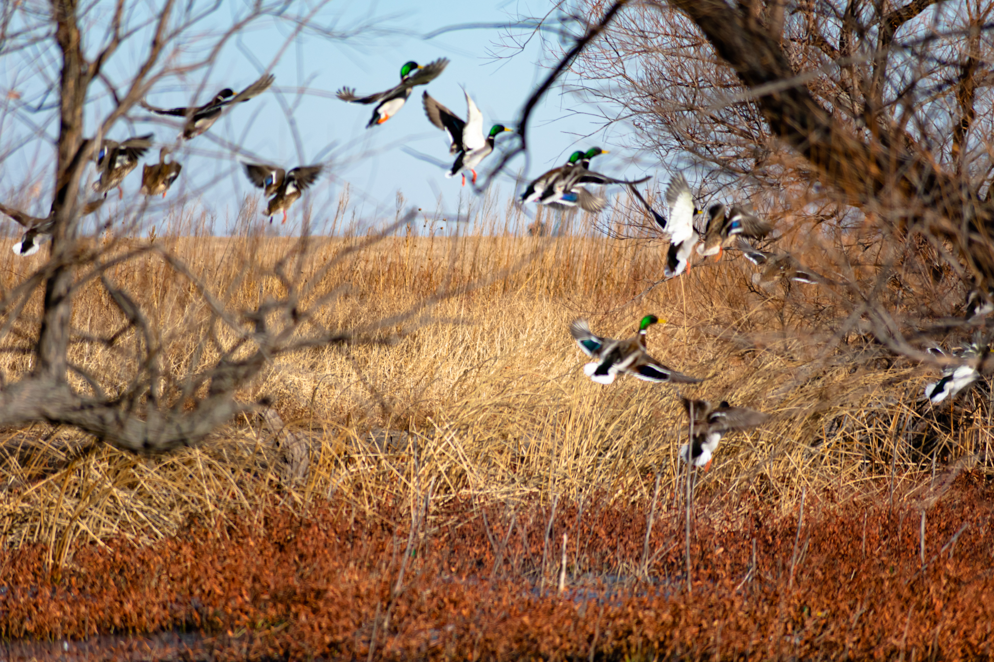 Top 10 Hunting Destinations in the USA