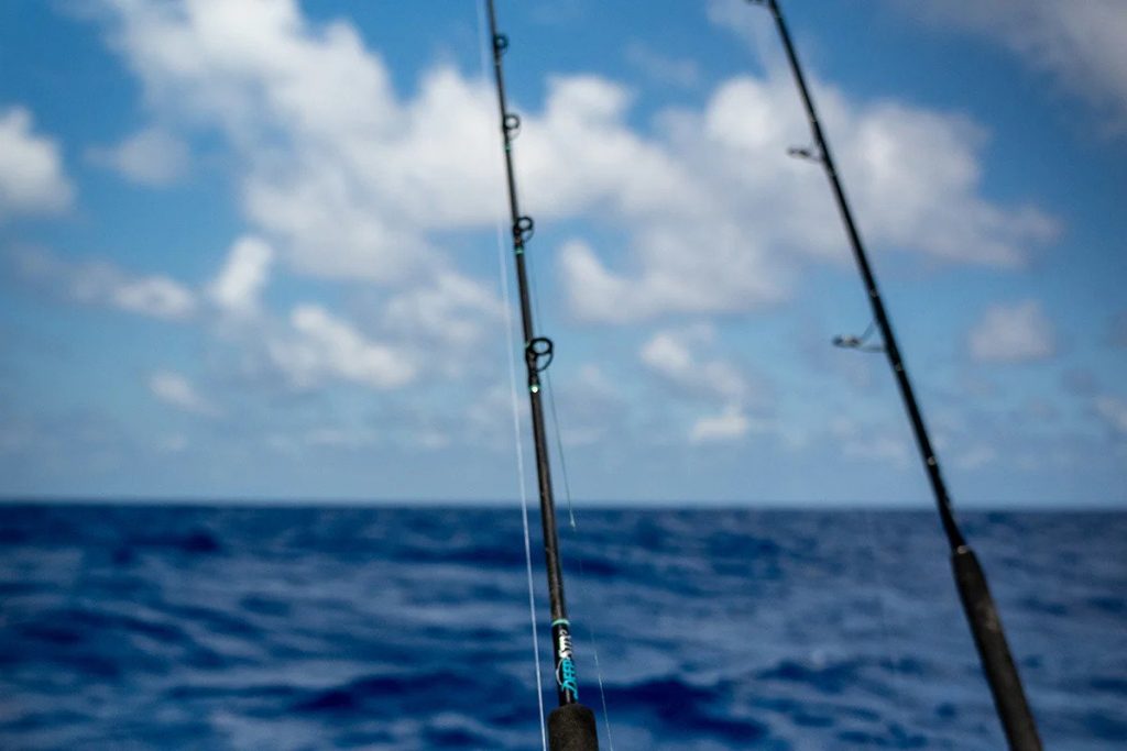 Deep Sea Fishing Rods: Your Ultimate Guide