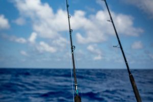 Deep Sea Fishing Rods: Your Ultimate Guide
