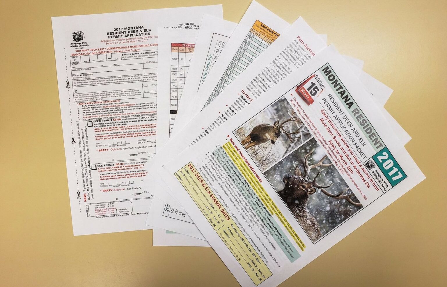 How to Get a Hunting License: A Step-by-Step Guide