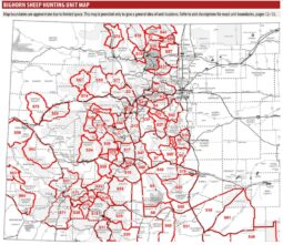 Colorado Hunting Seasons 2024-2025 [Guide]