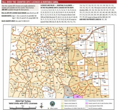Colorado Hunting Seasons 2024-2025 [Guide]
