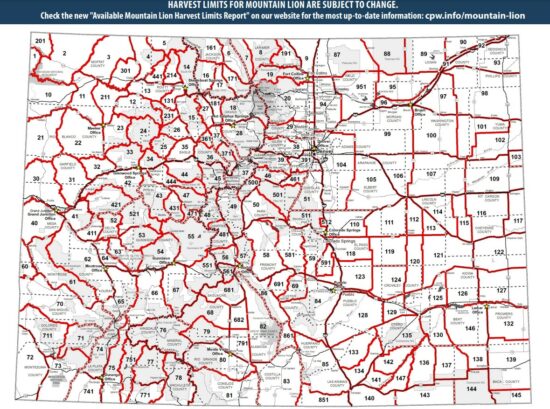 Colorado Hunting Seasons 2024-2025 [Guide]