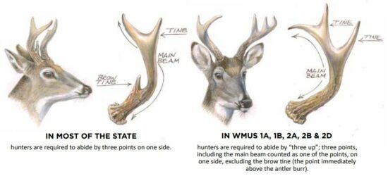 Hunting Seasons in PA 2025-26 [Complete Guide]