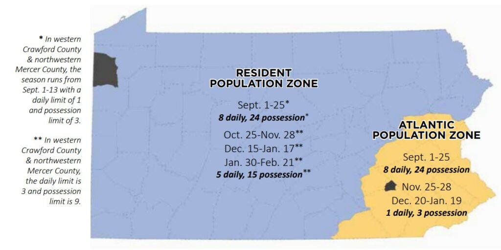 Hunting Seasons in PA 2025-26 [Complete Guide]