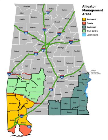Alabama Hunting Seasons 2025-2026: A Detailed Guide