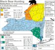 NYS Hunting Season 2025-26: Dates, Regulations, Licenses