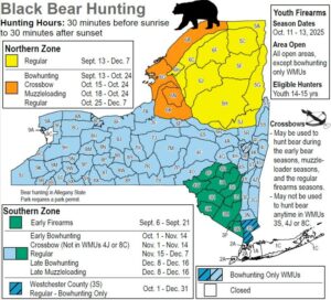 NYS Hunting Season 2025-26: Dates, Regulations, Licenses