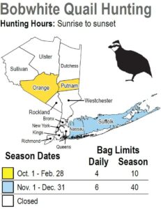 NYS Hunting Season 2025-26: Dates, Regulations, Licenses