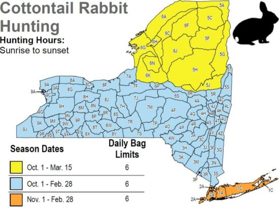 NYS Hunting Season 2025-26: Dates, Regulations, Licenses