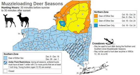 NYS Hunting Season 2025-26: Dates, Regulations, Licenses
