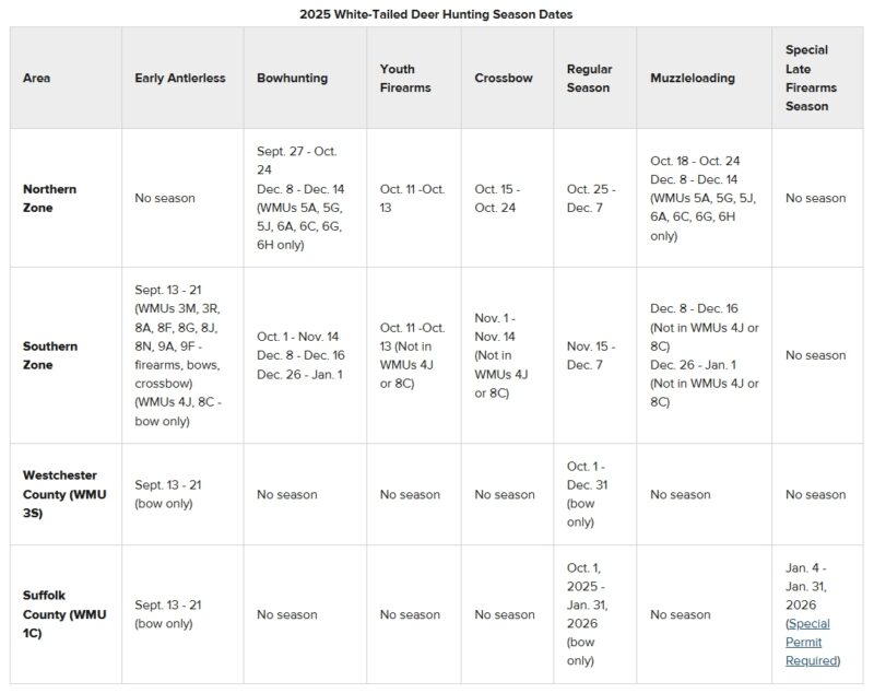 NYS Hunting Season 2025-26: Dates, Regulations, Licenses