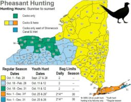 NYS Hunting Season 2025-26: Dates, Regulations, Licenses