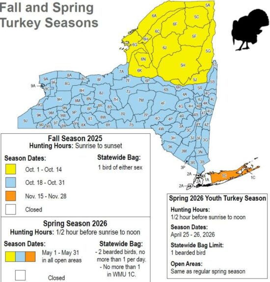NYS Hunting Season 2025-26: Dates, Regulations, Licenses